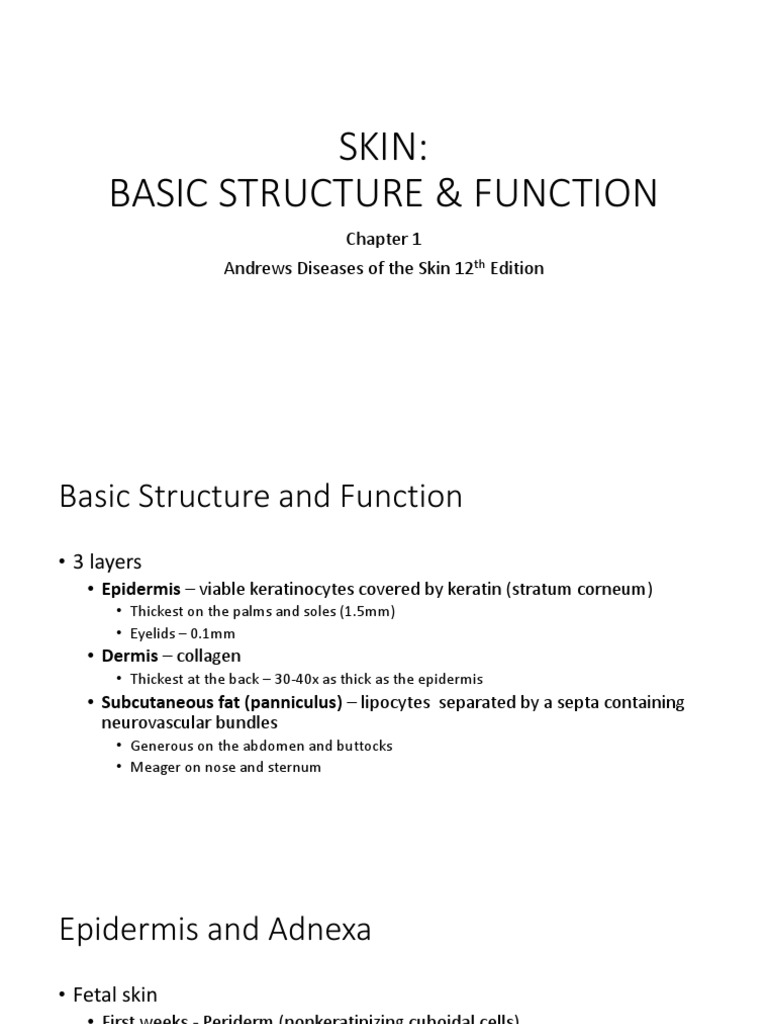 Andrews - Chapter 1 - Skin Basic Structure and Function | PDF | Epidermis | Skin