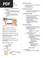 Science-Reviewer-3rd-Quarter For Grade 10 Biology | PDF | Motor Neuron ...