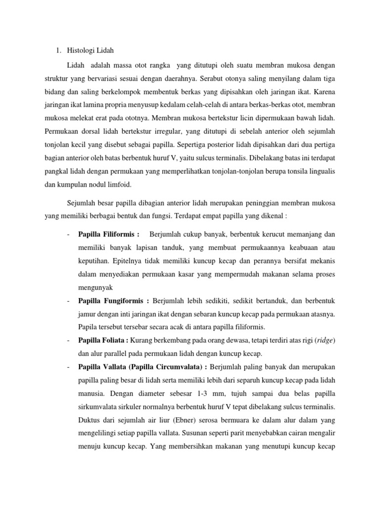Histologi Lidah Dan Indra Pengecapan | PDF