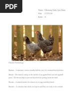 Poultry Terminologies and Definition | PDF | Chicken | Poultry