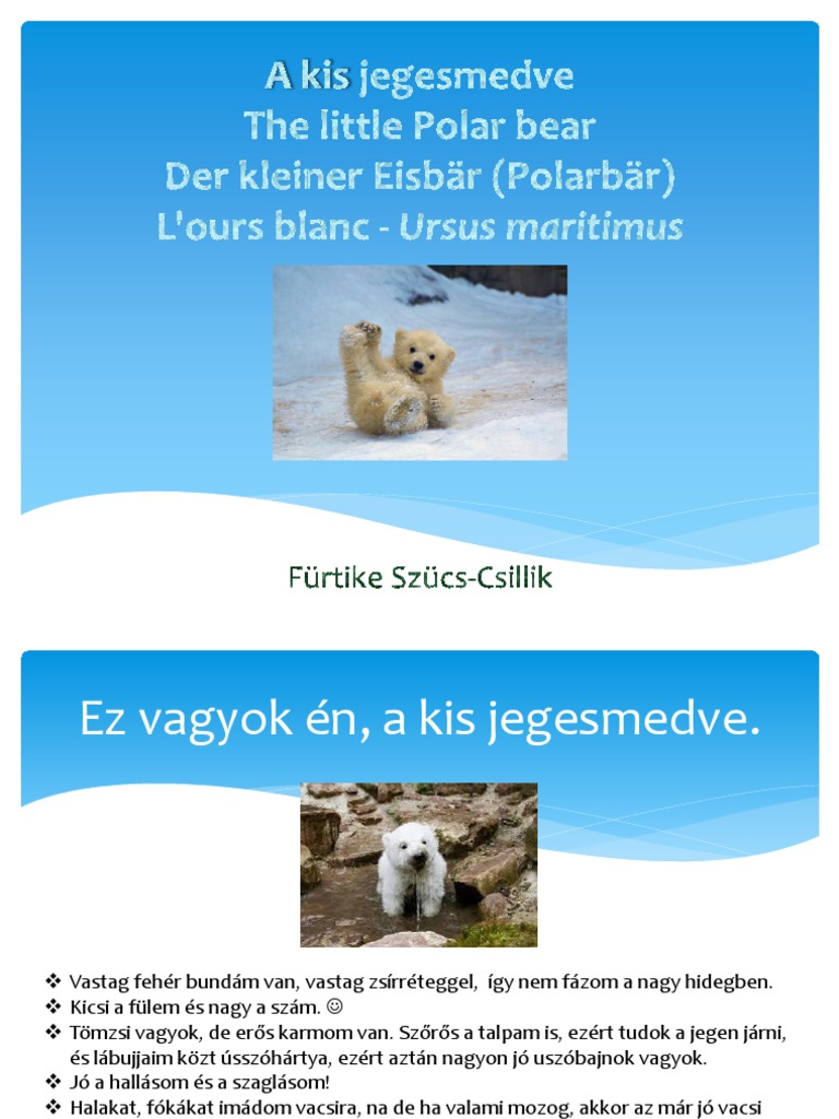 A Kis Jegesmedve | PDF