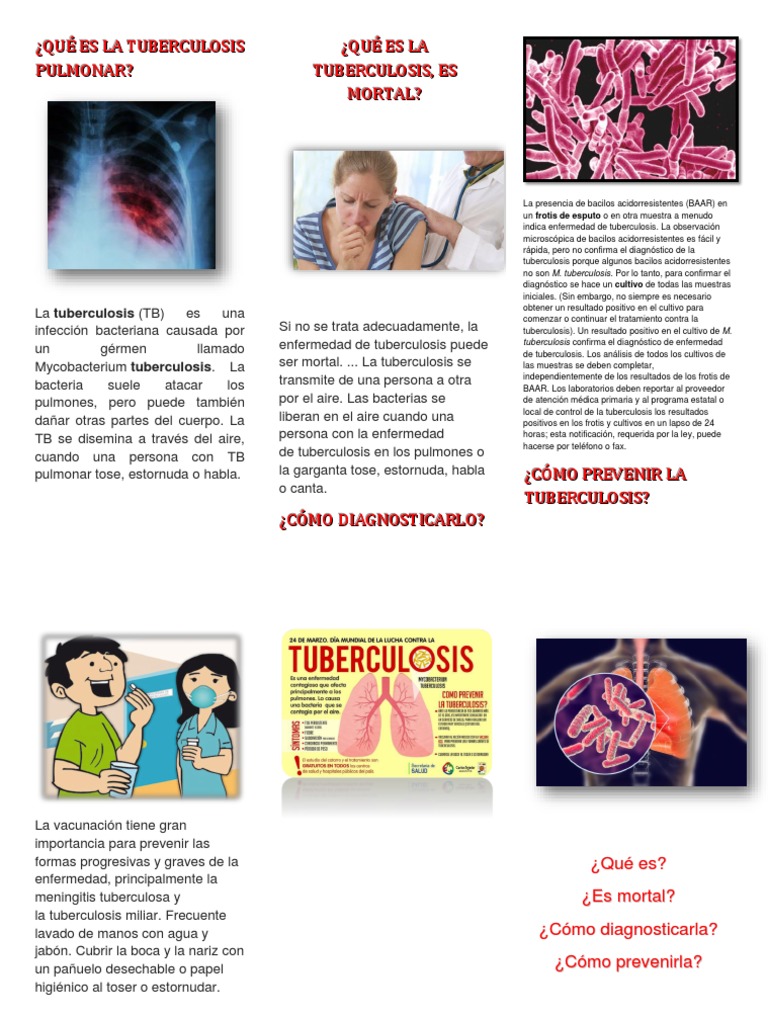 Tuberculosis Pulmonar Triptico | PDF | Tuberculosis | Salud pública