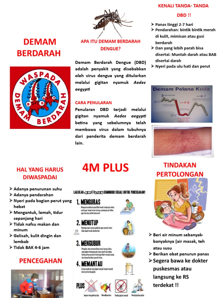 Leaflet DBD | PDF