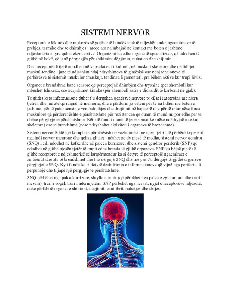Sistemi Nervor | PDF