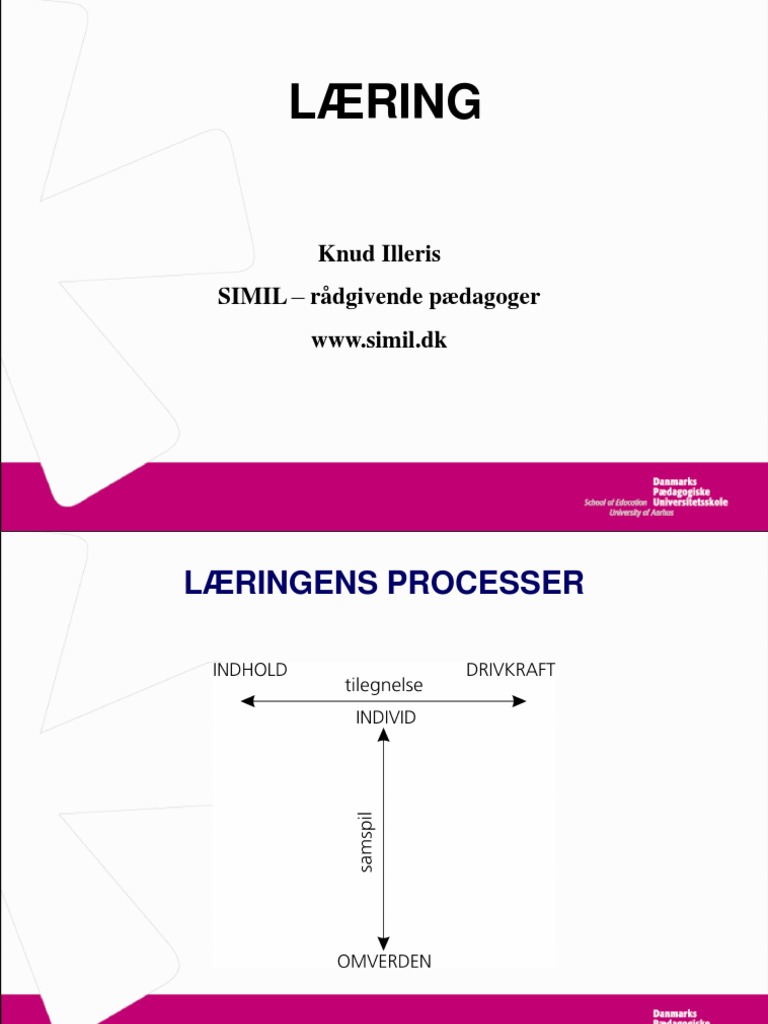 Knud Illeris | PDF