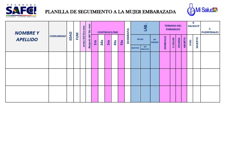 Seguimiento Embarazo: Control y Salud | PDF | Reproducción humana ...