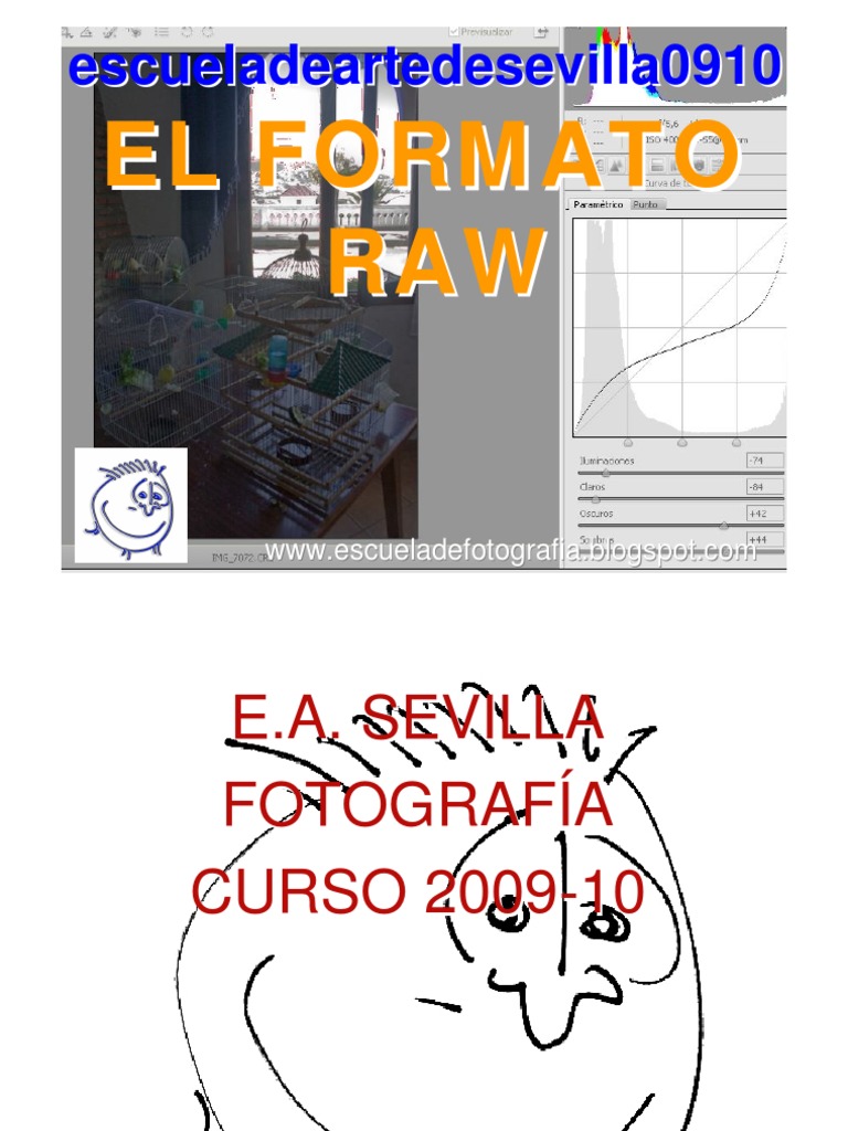 EL FORMATO RAW (Explicación y Pantallas) 0910 PDF | PDF | Formato de ...