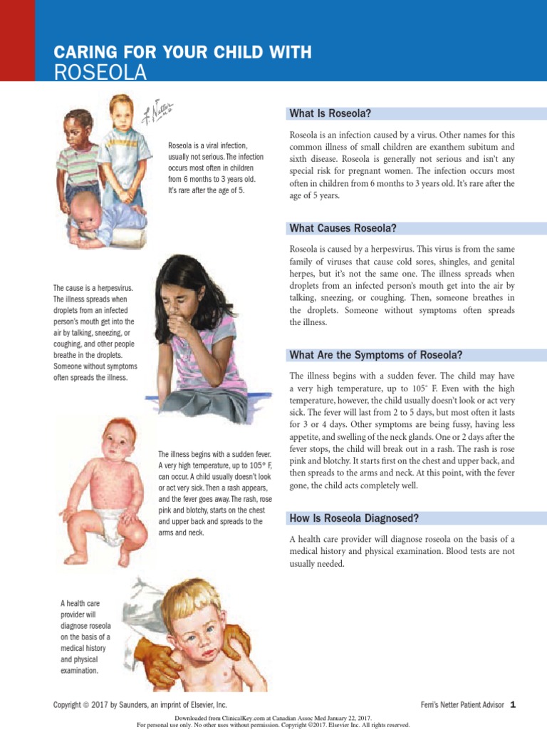 Roseola Sixth Disease Ferri Netter Patient Education English | PDF ...