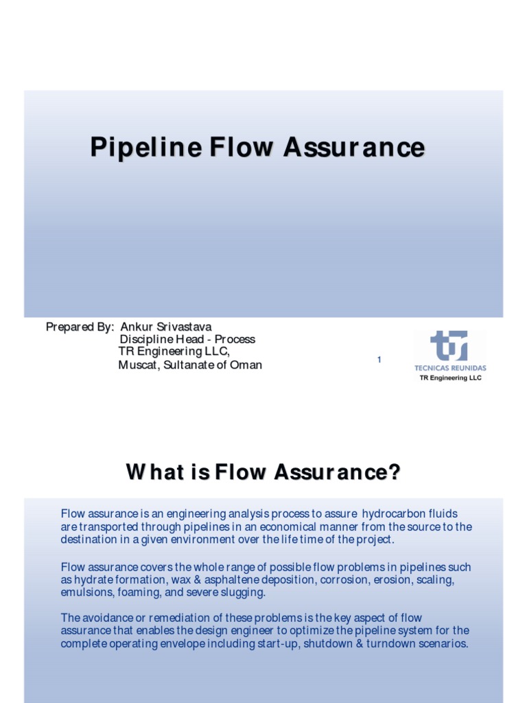 Pipeline Flow Assurance | PDF | Fluid Dynamics | Pipeline Transport