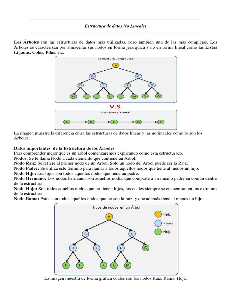 Modulo 3 - Estructura de Datos No Lineales | PDF | Informática teórica ...