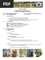 Despedida Script | PDF | Sports & Recreation | Language Arts & Discipline