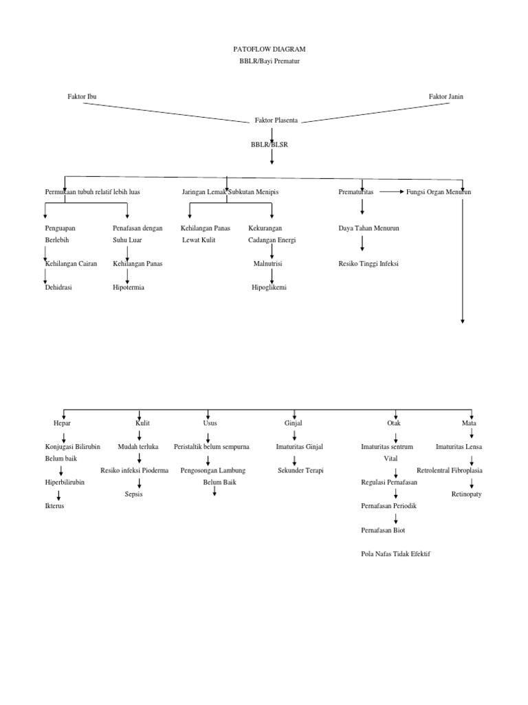 Patoflow Diagram | PDF