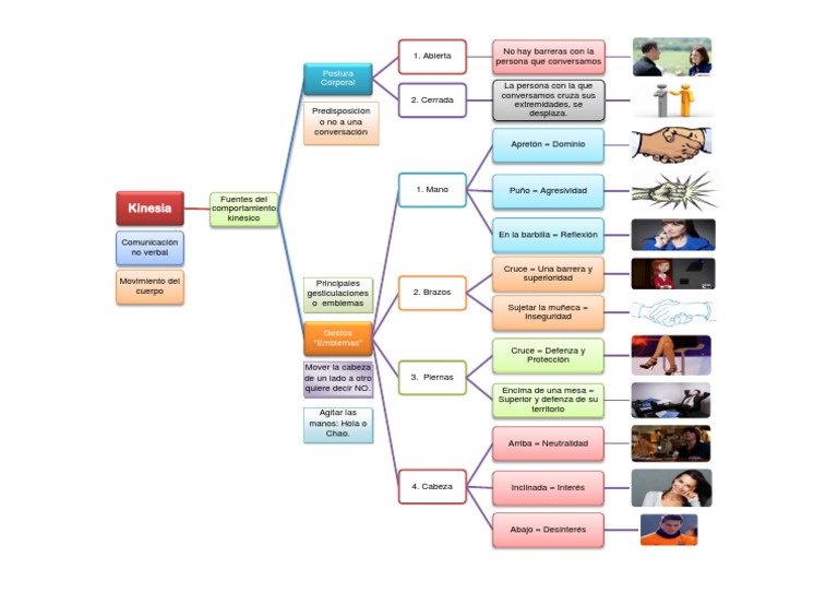 Kinesia PDF | PDF | Science | Ciencia y Tecnología