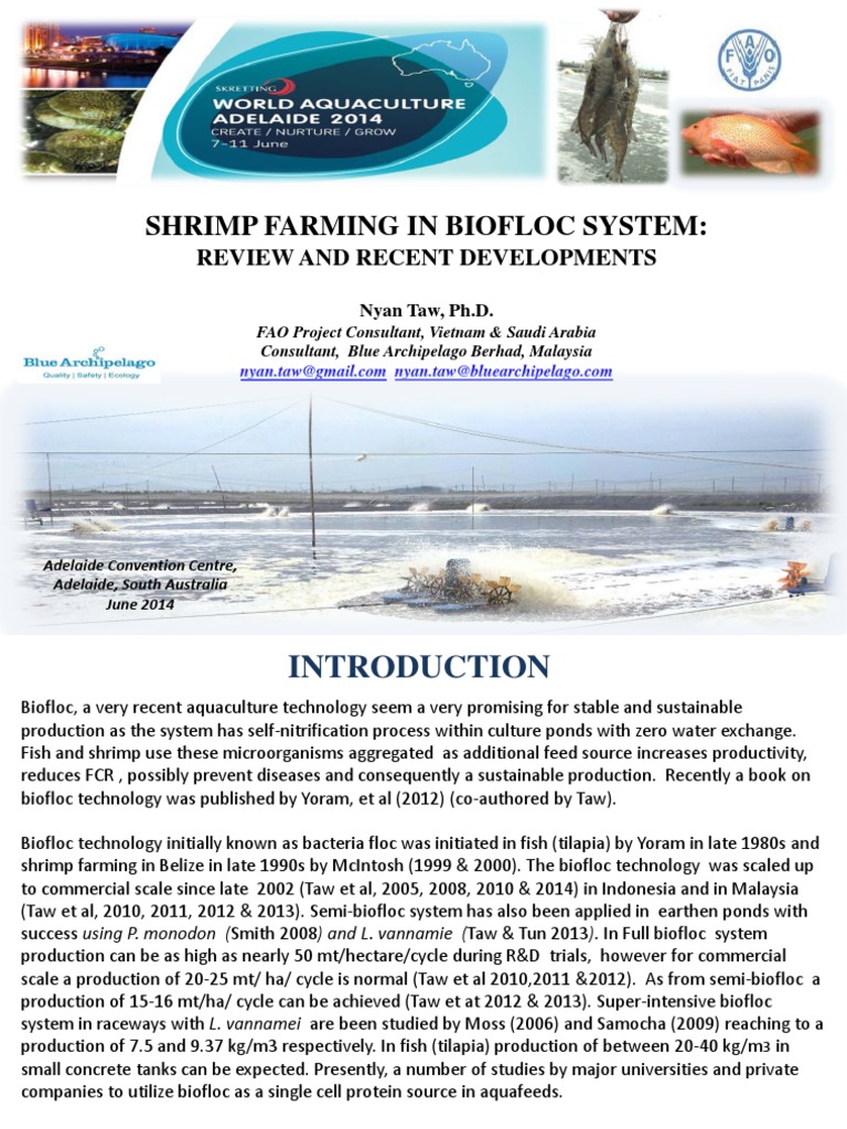 Shrimp Farming in Biofloc System - PDF | PDF | Aquaculture | Organisms