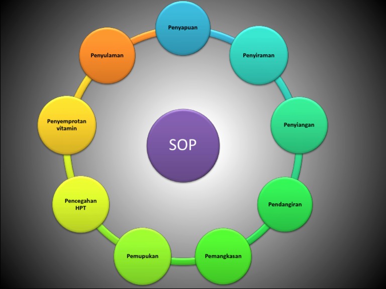 Standar Sop Circle | PDF