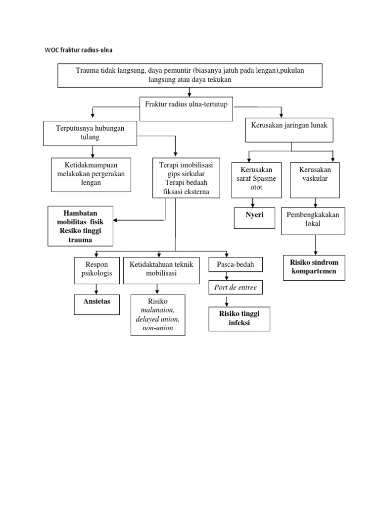 WOC Radius Ulna | PDF