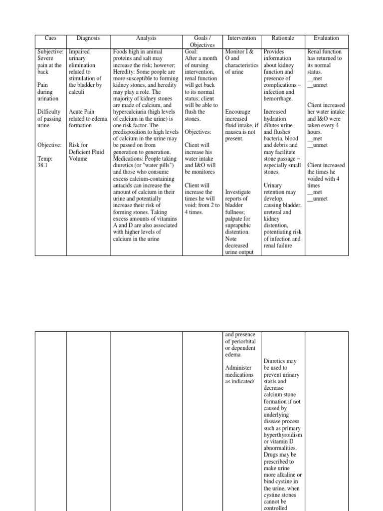 NCP Renal Calculi | PDF | Urine | Kidney