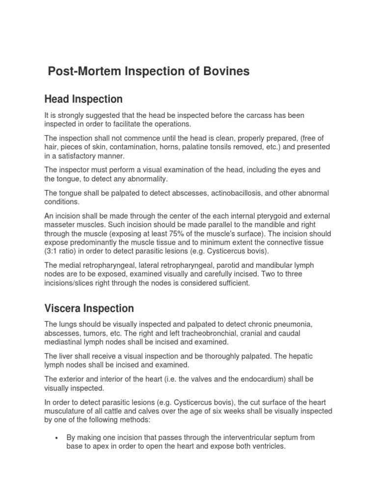 Post-Mortem Inspection of Cattle | PDF | Autopsy | Heart