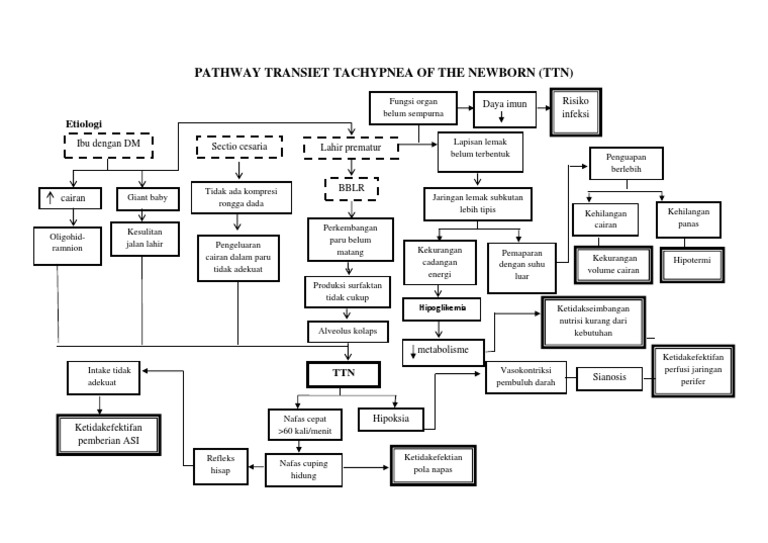 Pathway TTN Fix | PDF