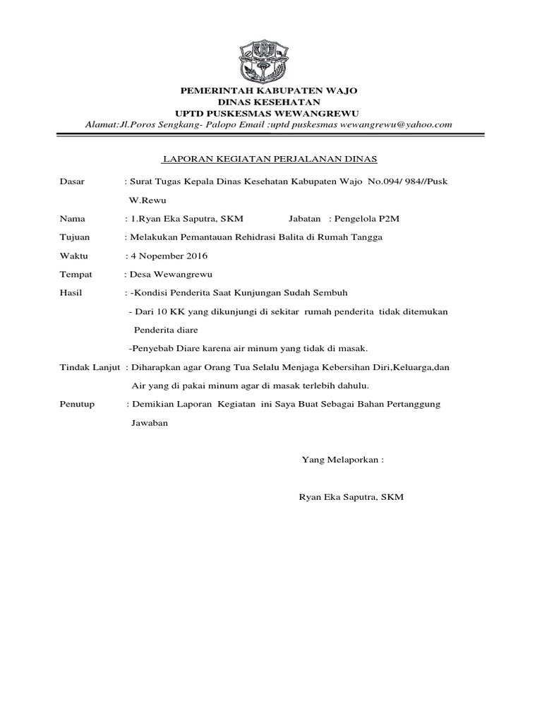 Laporan Kegiatan BOK P2M | PDF