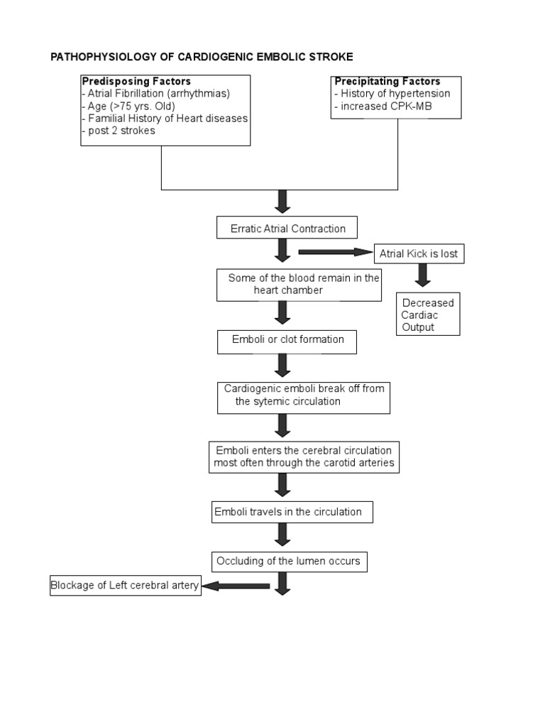 Pathophysiology of Cardiogenic Embolic Stroke | PDF