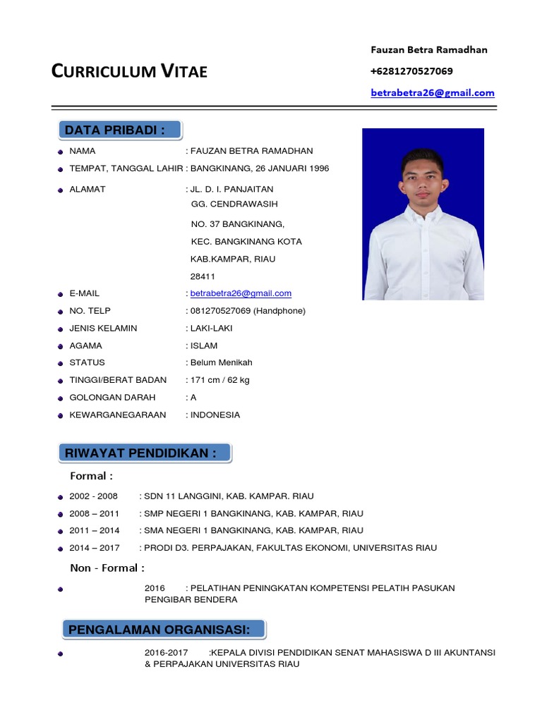 CV Fauzan | PDF