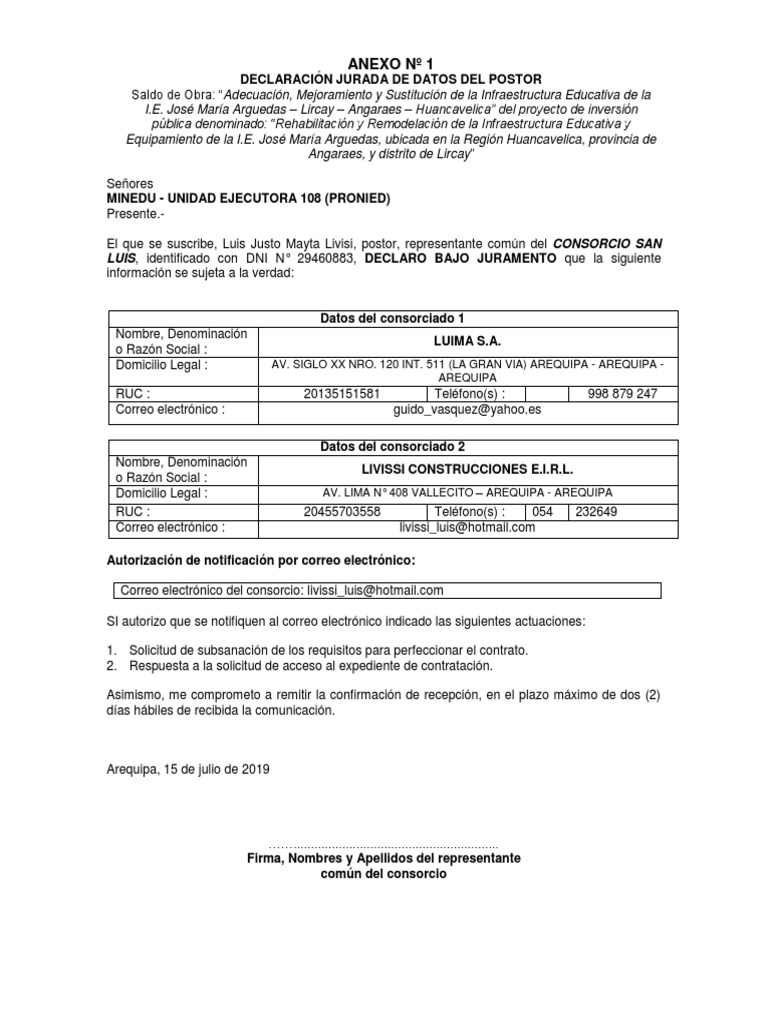 Formatos Anexos | PDF