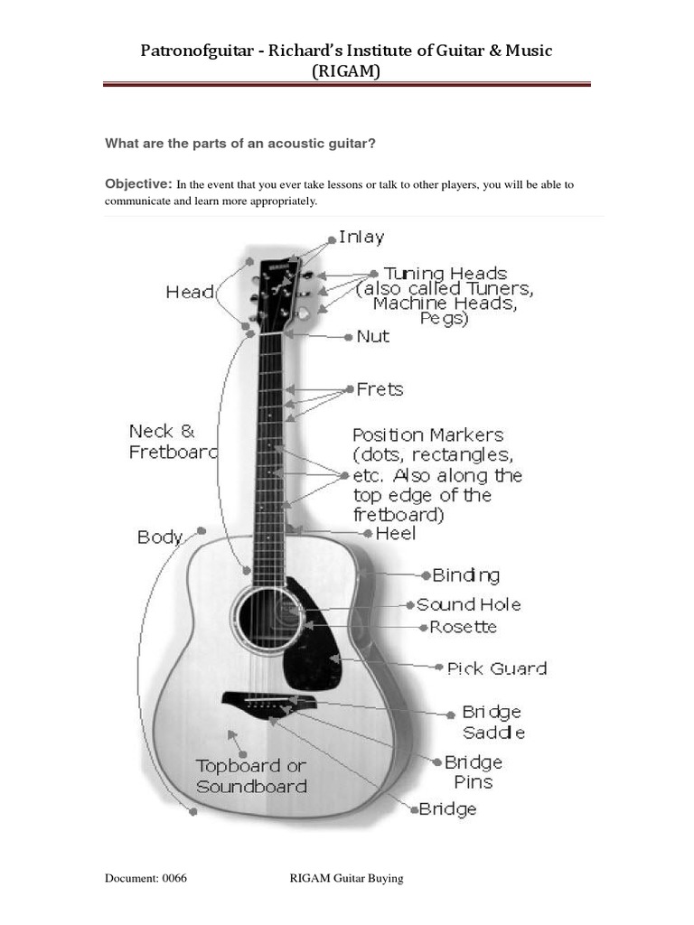 Parts of The Guitar PDF | PDF