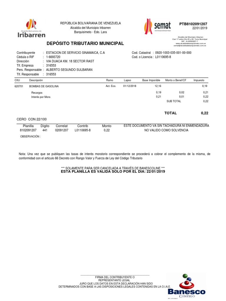 Planilla Patente Diciembre | PDF | Gobierno | Economias