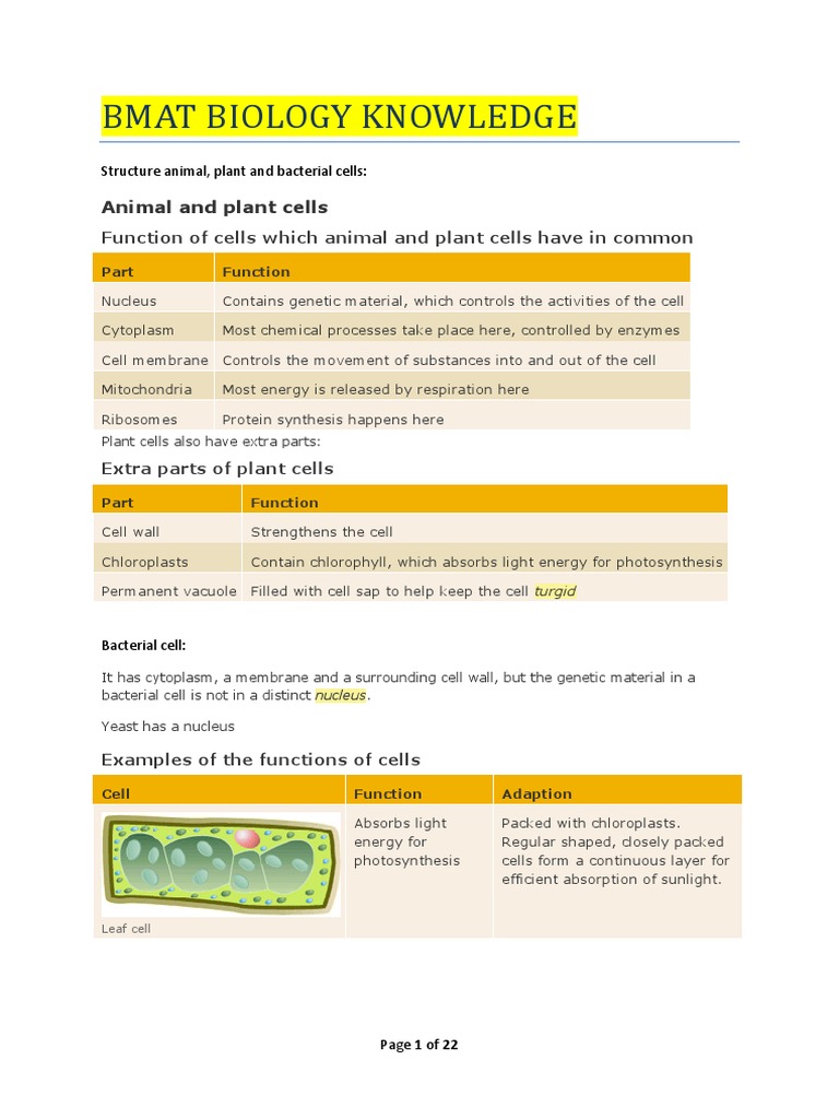 Bmat Biology Knowledge | PDF | Dna Replication | Cellular Respiration