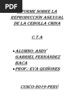 Sacha Culantro | PDF | Hierbas y especias | Alimentos