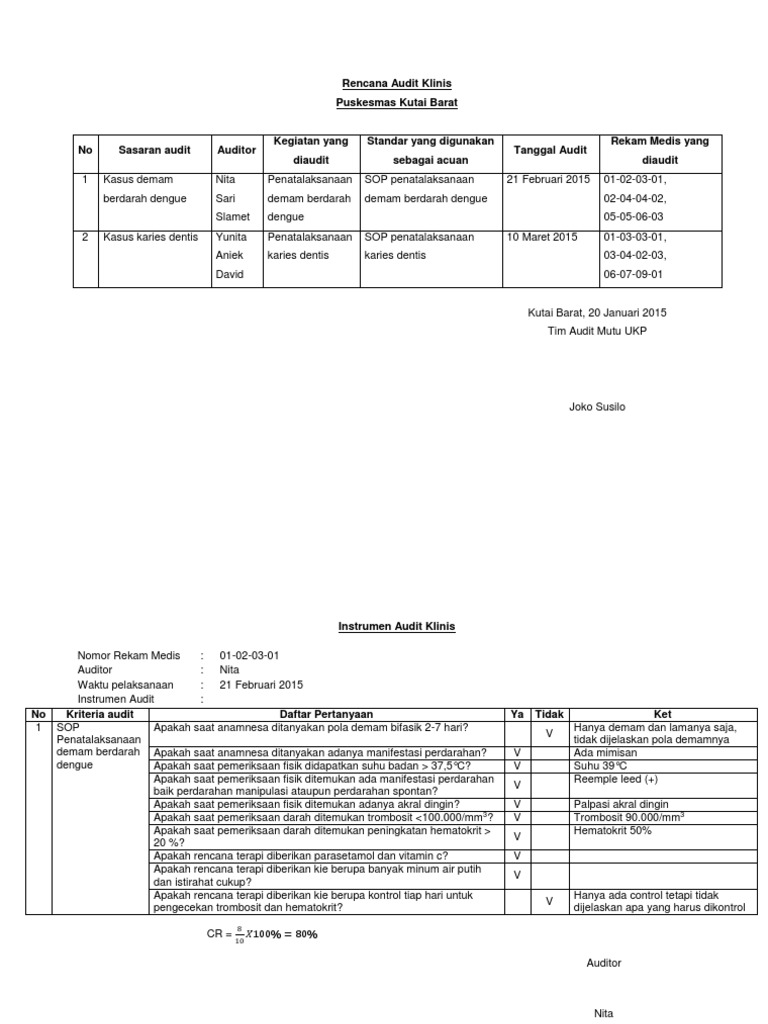 CONTOH AUDIT PLAN DAN INSTRUMEN AUDIT Klinis | PDF