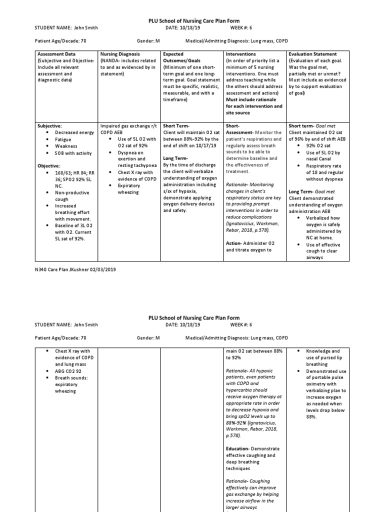 Nursing Care Plan | Download Free PDF | Chronic Obstructive Pulmonary ...