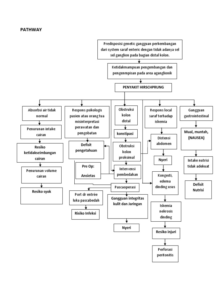 Pathway Penyakit Hirschsprung Anak | PDF