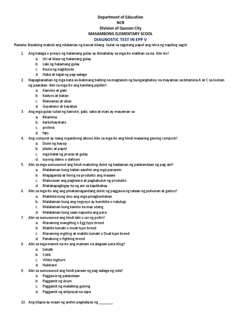 Diagnostic Test Epp V | PDF