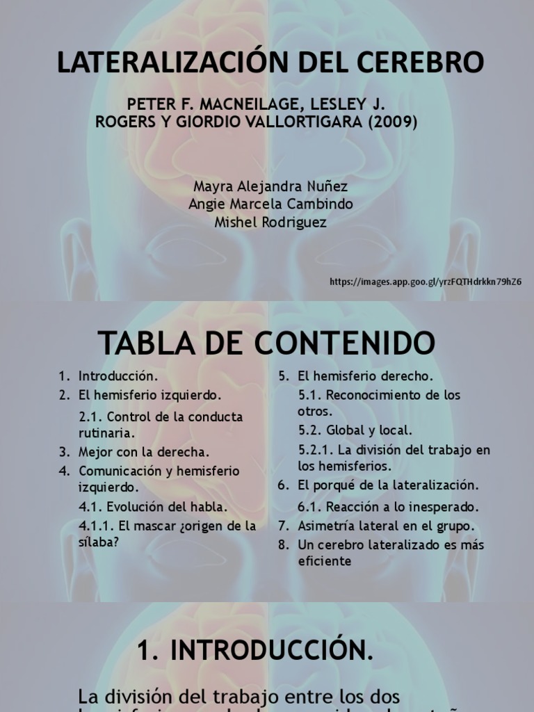 Lateralización Del Cerebro | PDF | Hemisferio cerebral | Cerebro