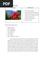 Morfologi Rumput Teki Cyperus Rotundus | PDF | Griya & Taman | Sains ...