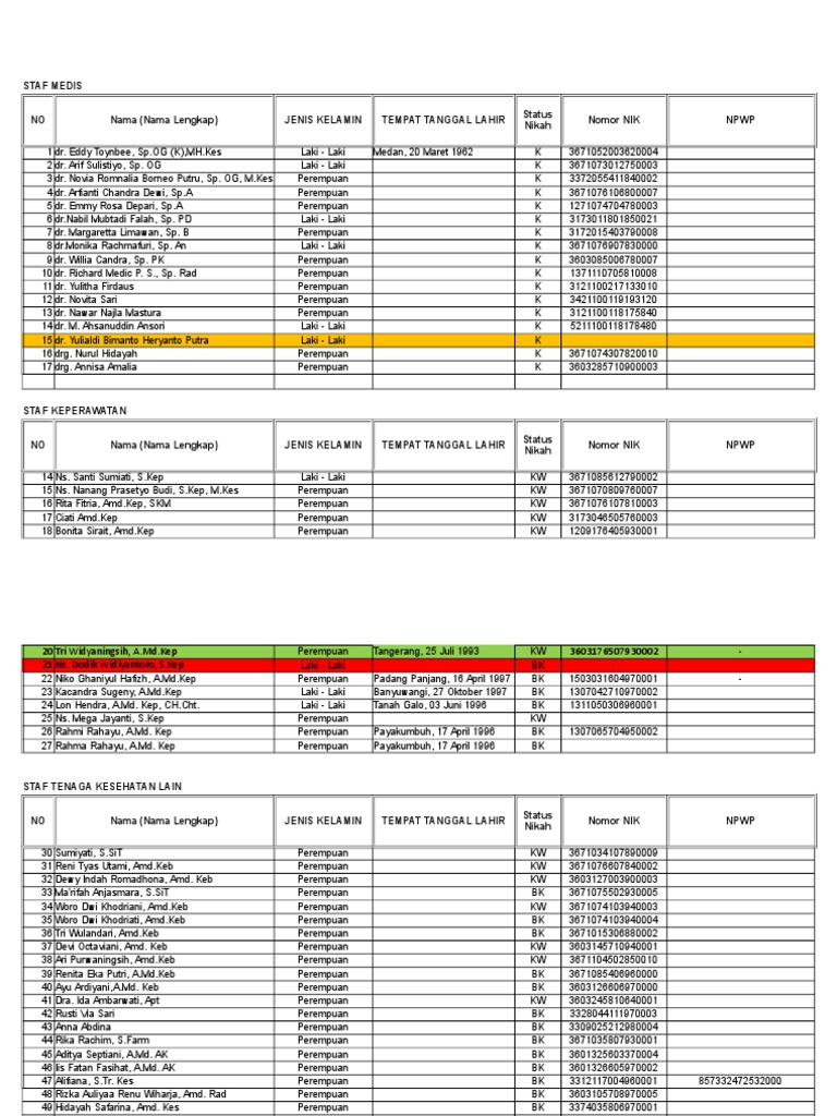 Format Data SDM | PDF