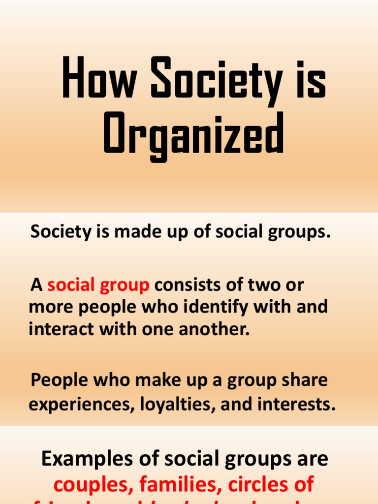 How Society Is Organized 7 | PDF | Social Group | Family