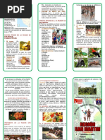 Tríptico Región Costa Ucayali | PDF | Viajes y turismo