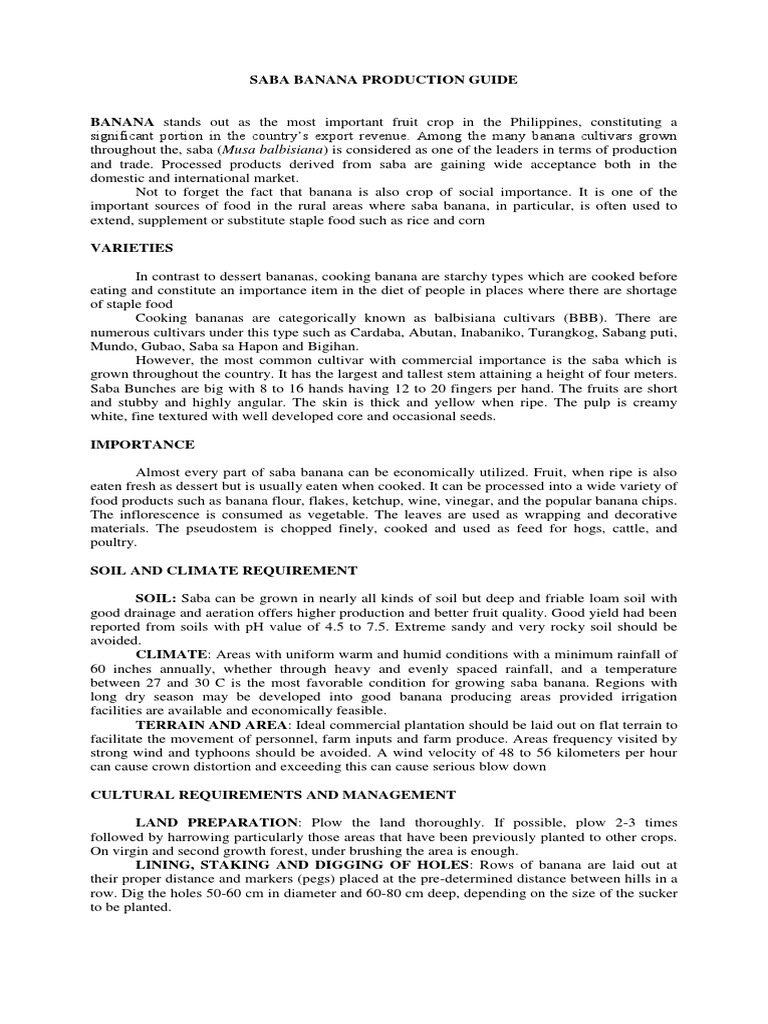 Saba Banana Production Guide PDF | PDF | Banana | Fertilizer