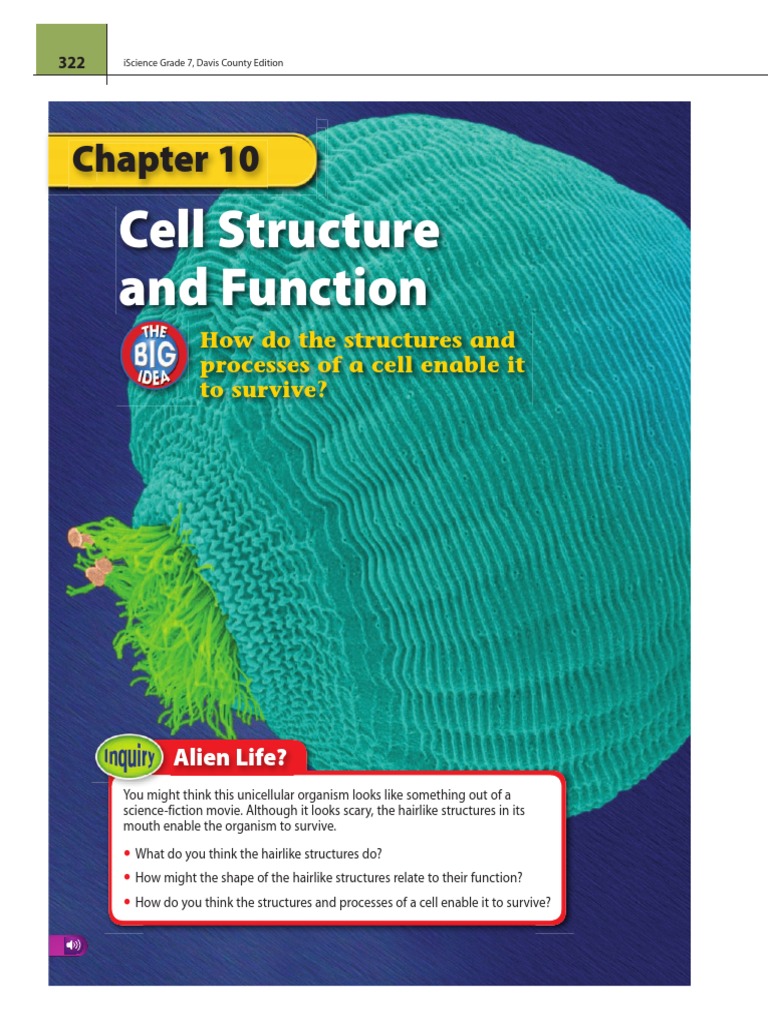 10 Cell Structure and Function PDF | PDF | Philosophy | Wellness