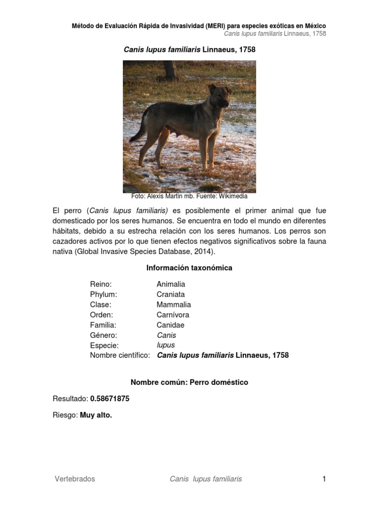 Canis Familiaris | PDF | Perros | Biodiversidad