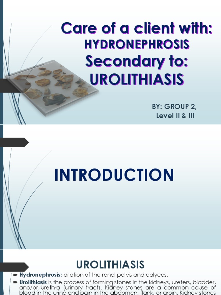UROLITHIASIS | Download Free PDF | Kidney | Urology