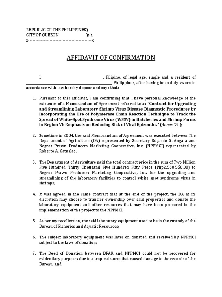 Affidavit of Confirmation | PDF
