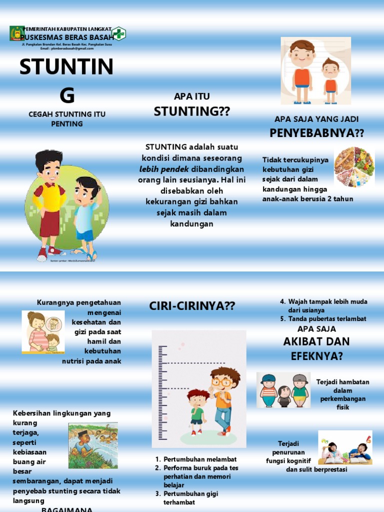 Leaflet STUNTING | PDF