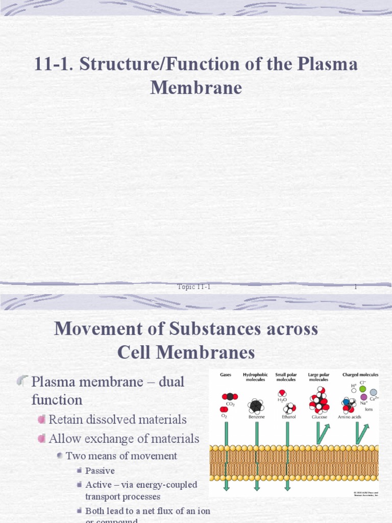The Mechanisms of Movement Across the Cell Membrane: A Detailed ...