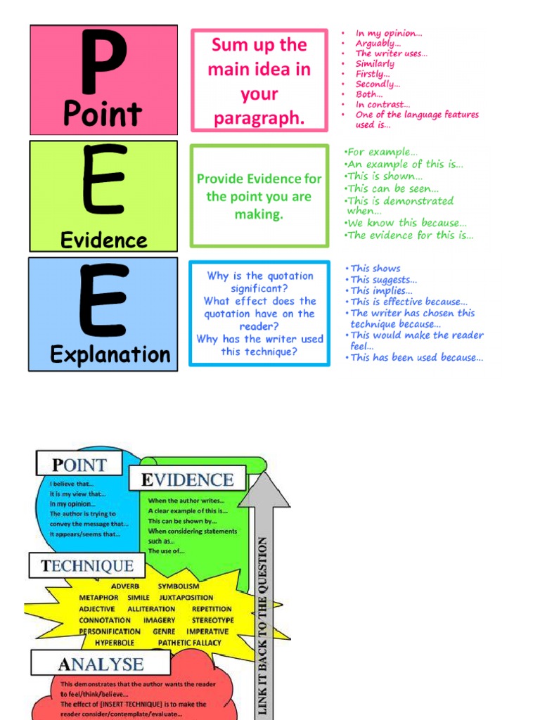 Pee Structure | PDF