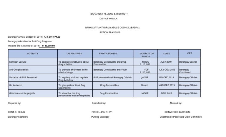 Badac Action Plan | PDF