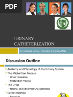 Normal Urodynamic Values Overview | PDF | Urinary Incontinence | Urination